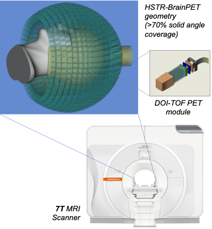 Development of the Human Dynamic NeuroChemical Connectome (HDNCC ...